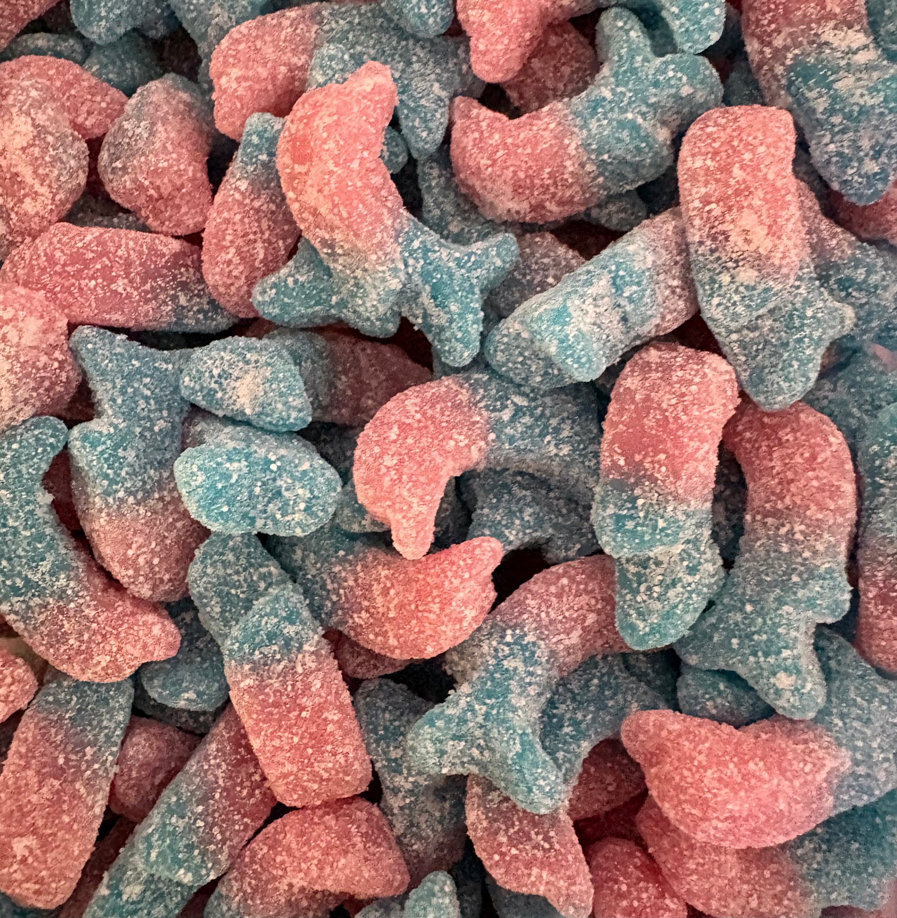 DAUPHIN BUBBLE GUM – bonbondelice